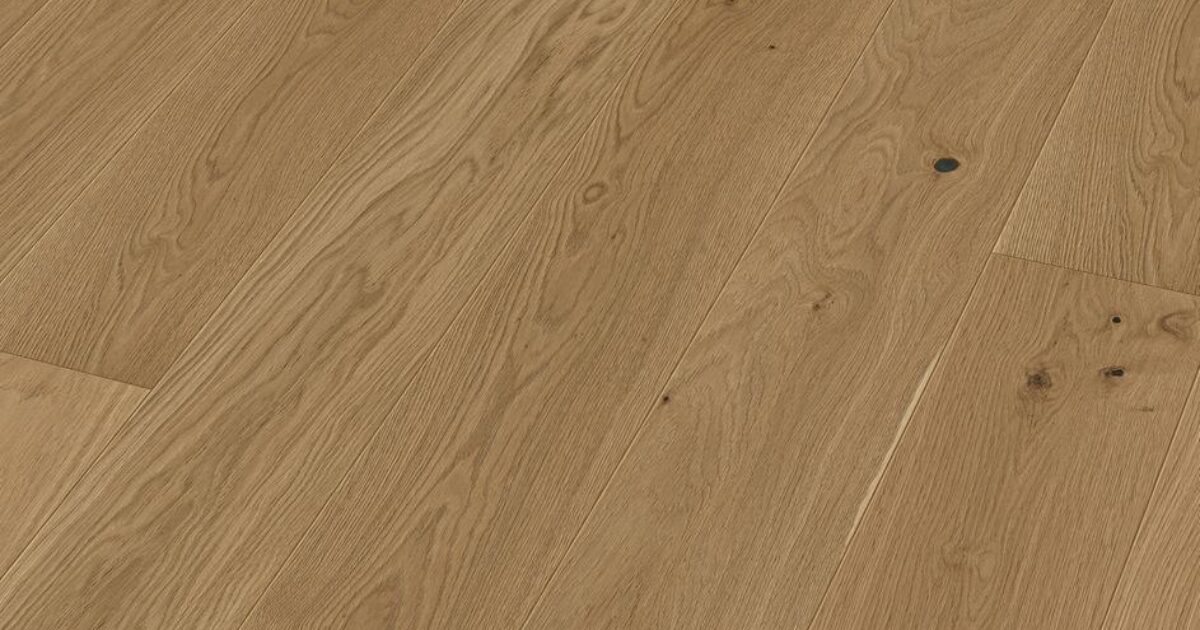 Taylor Maxwell | ME1024 | craft\elements\db\ElementQuery