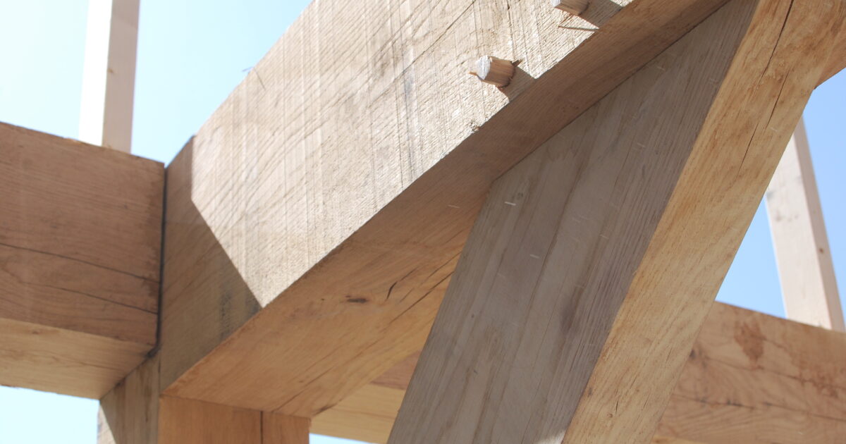 Timber Update April 2021 | Taylor Maxwell