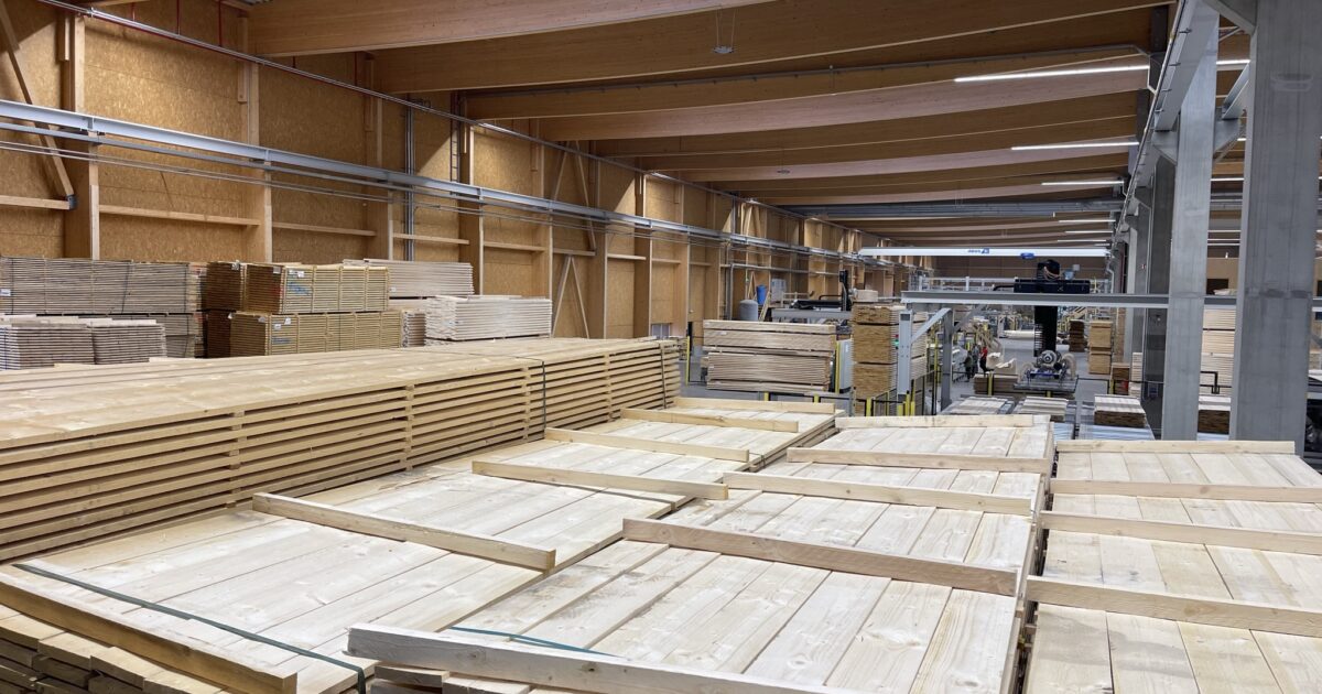 Timber Update February 2024 | Taylor Maxwell