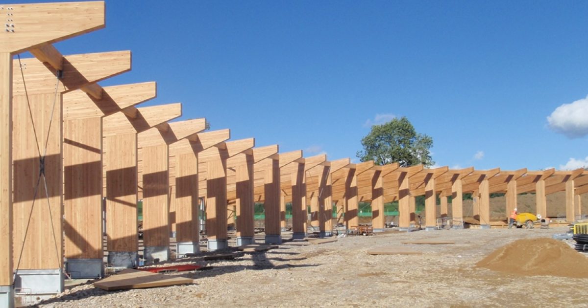 Timber Update June 2021 | Taylor Maxwell