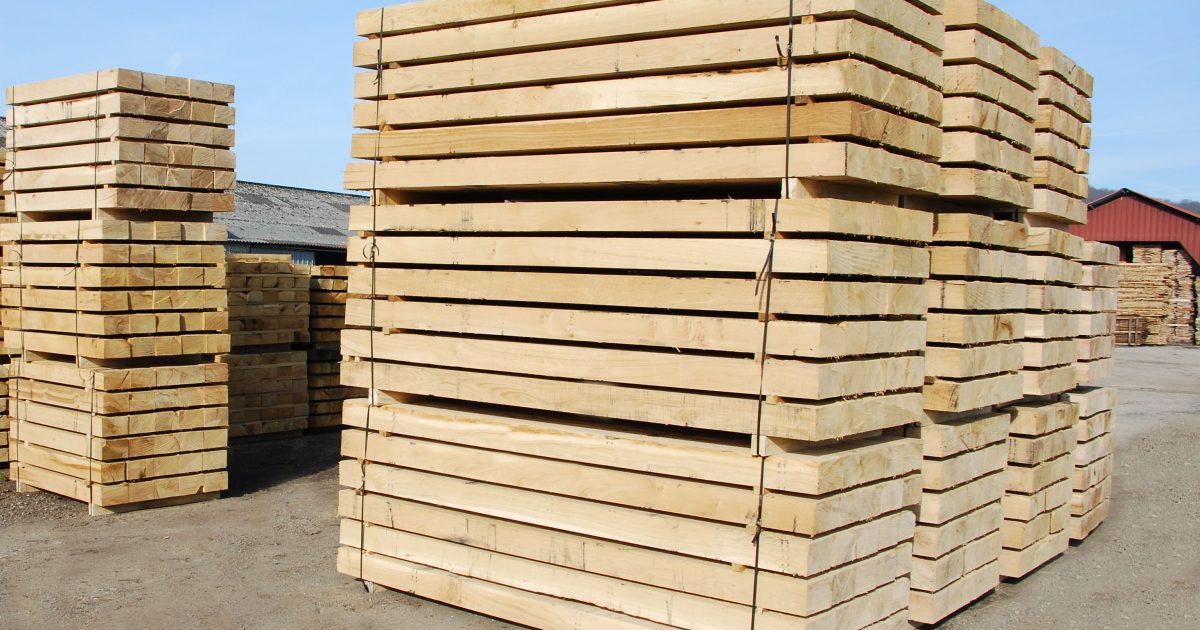 Timber Update August 2021 | Taylor Maxwell