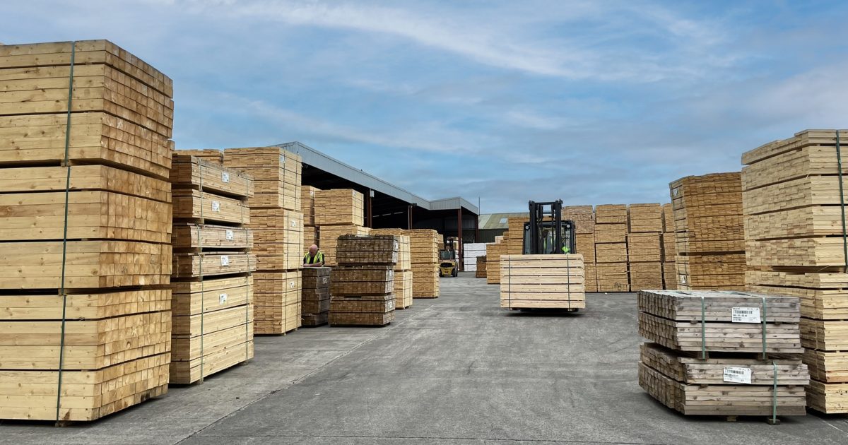 Timber Update July 2022 | Taylor Maxwell