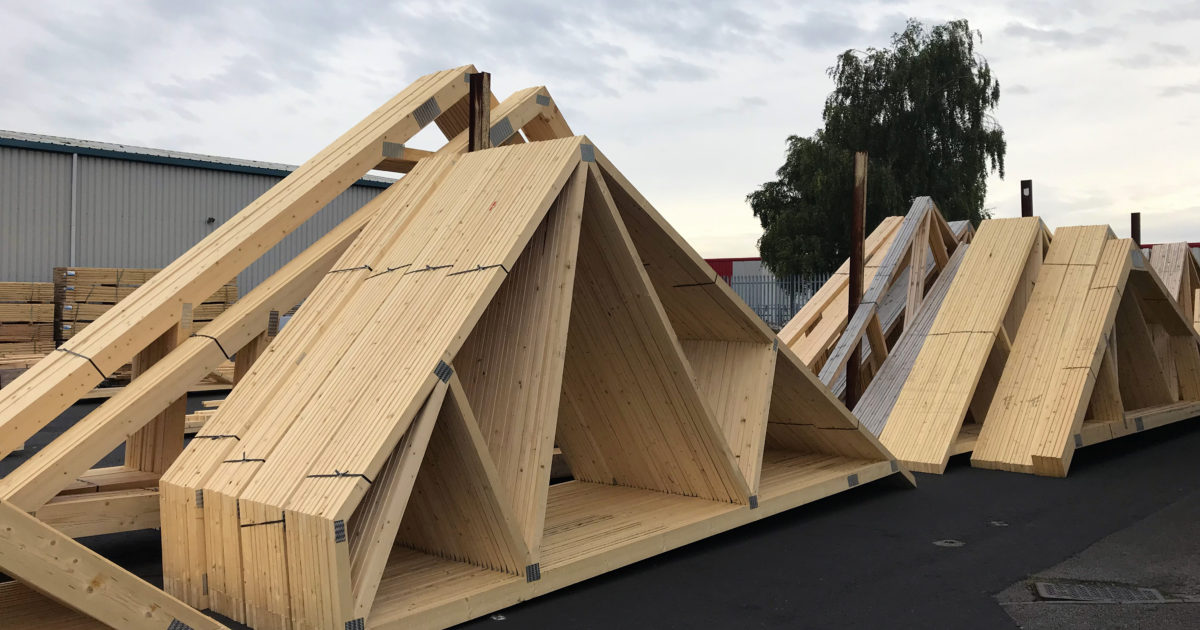 Timber Update October 2020 | Taylor Maxwell