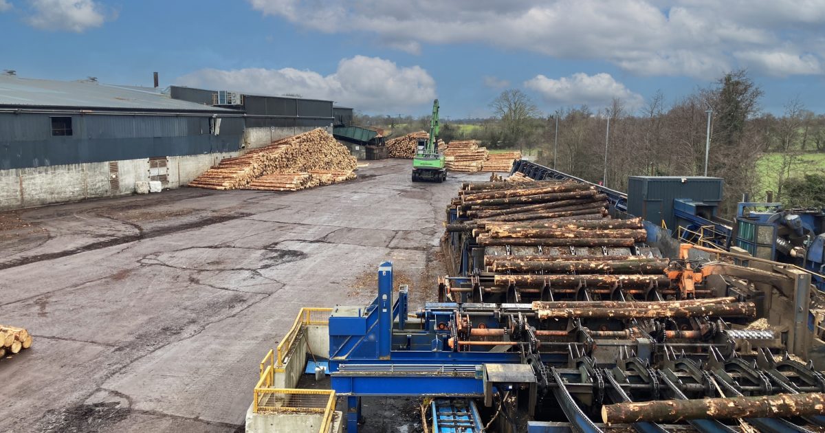 Timber Update February 2023 | Taylor Maxwell