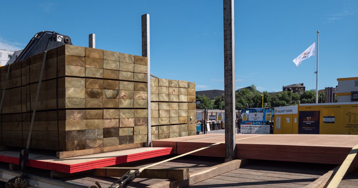 Timber Update July 2021 | Taylor Maxwell