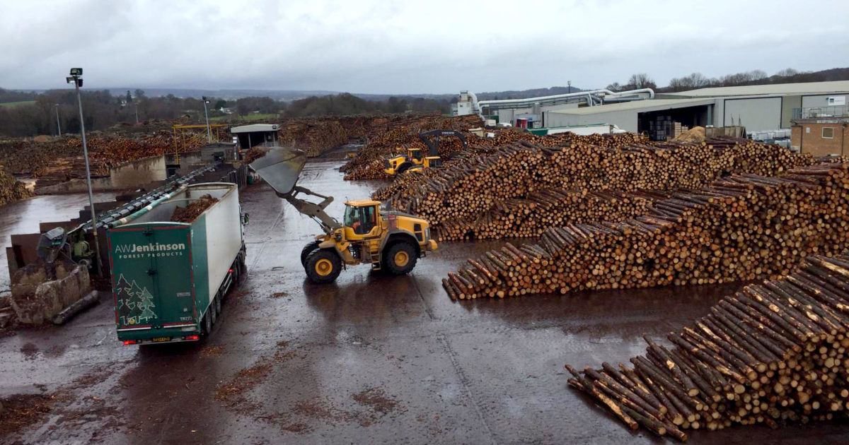 Timber Update September 2020 | Taylor Maxwell