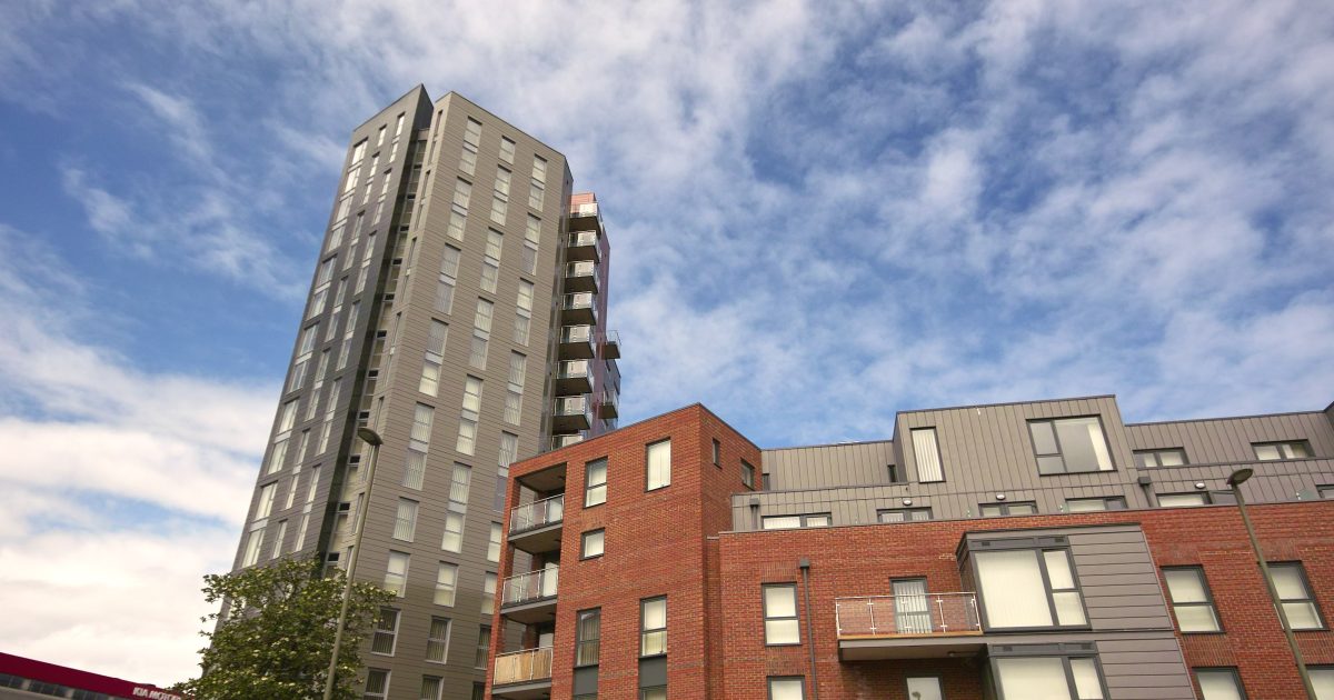 Case Study: Zenith House | Taylor Maxwell